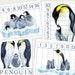 Penguins Unit Study: Life Cycle, Anatomy, Homeschool Printable (instant ...