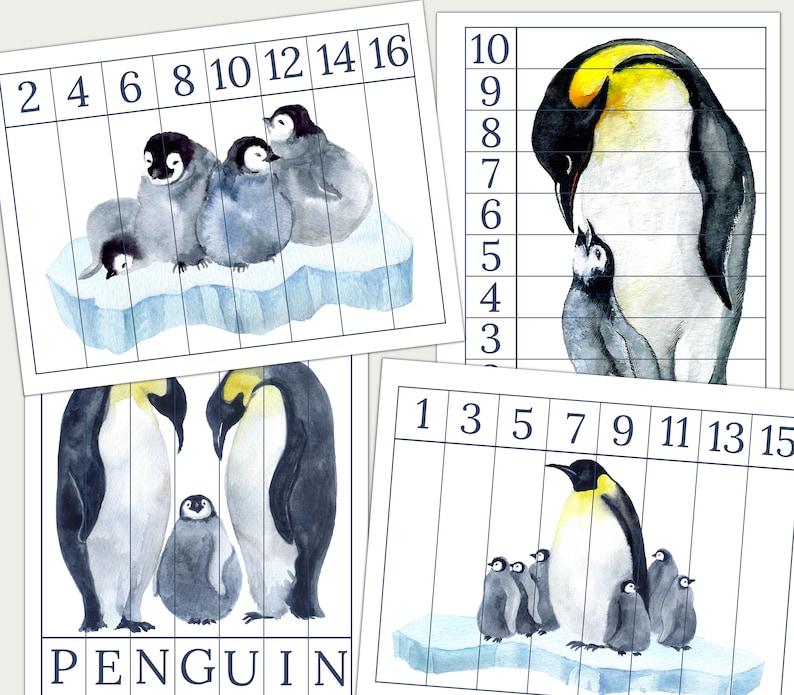 PENGUINS Unit Study Life Cycle Anatomy Nature Study - Etsy