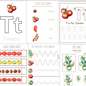 TOMATO Unit Study, Life Cycle, Anatomy, Nature Study, Science ...