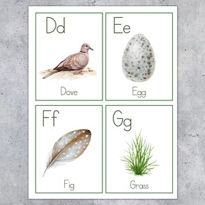 FOREST NATURE Alphabet Flashcards. Watercolor Letter Cards. Kids ...