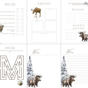 MOOSE Unit Study, Life Cycle, Anatomy, Nature Study, Science ...