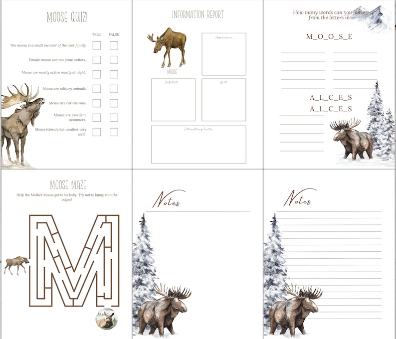 Moose Unit Study: Homeschool Science, Anatomy & Life Cycle (printable ...