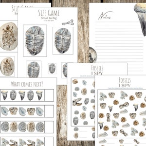 FOSSILS Unit Study Anatomy Nature Study Science - Etsy