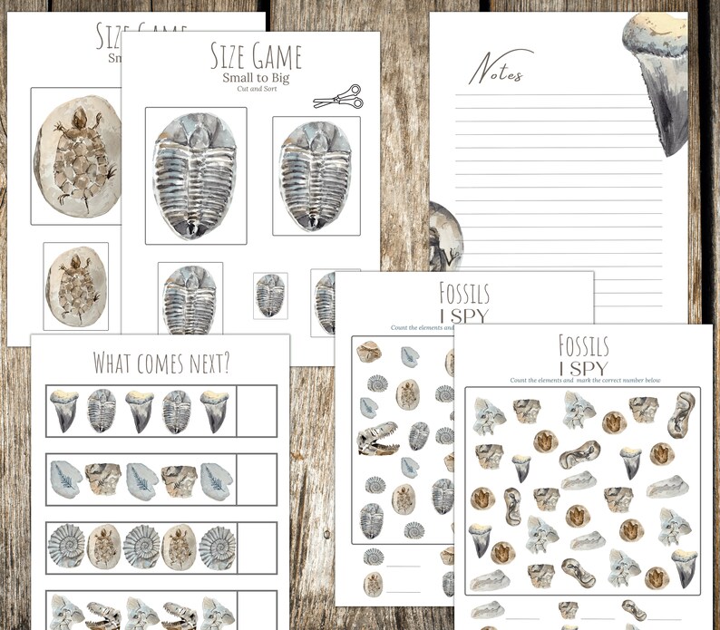 FOSSILS Unit Study Anatomy Nature Study Science - Etsy