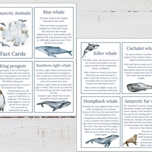 Antarctic Animals Fact Cards, 3 Part Cards and Mini Poster, Nature ...