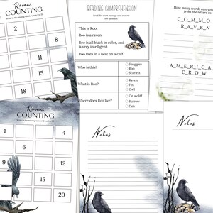 RAVEN Unit Study, Anatomy, Nature Study, Science, Handwriting ...