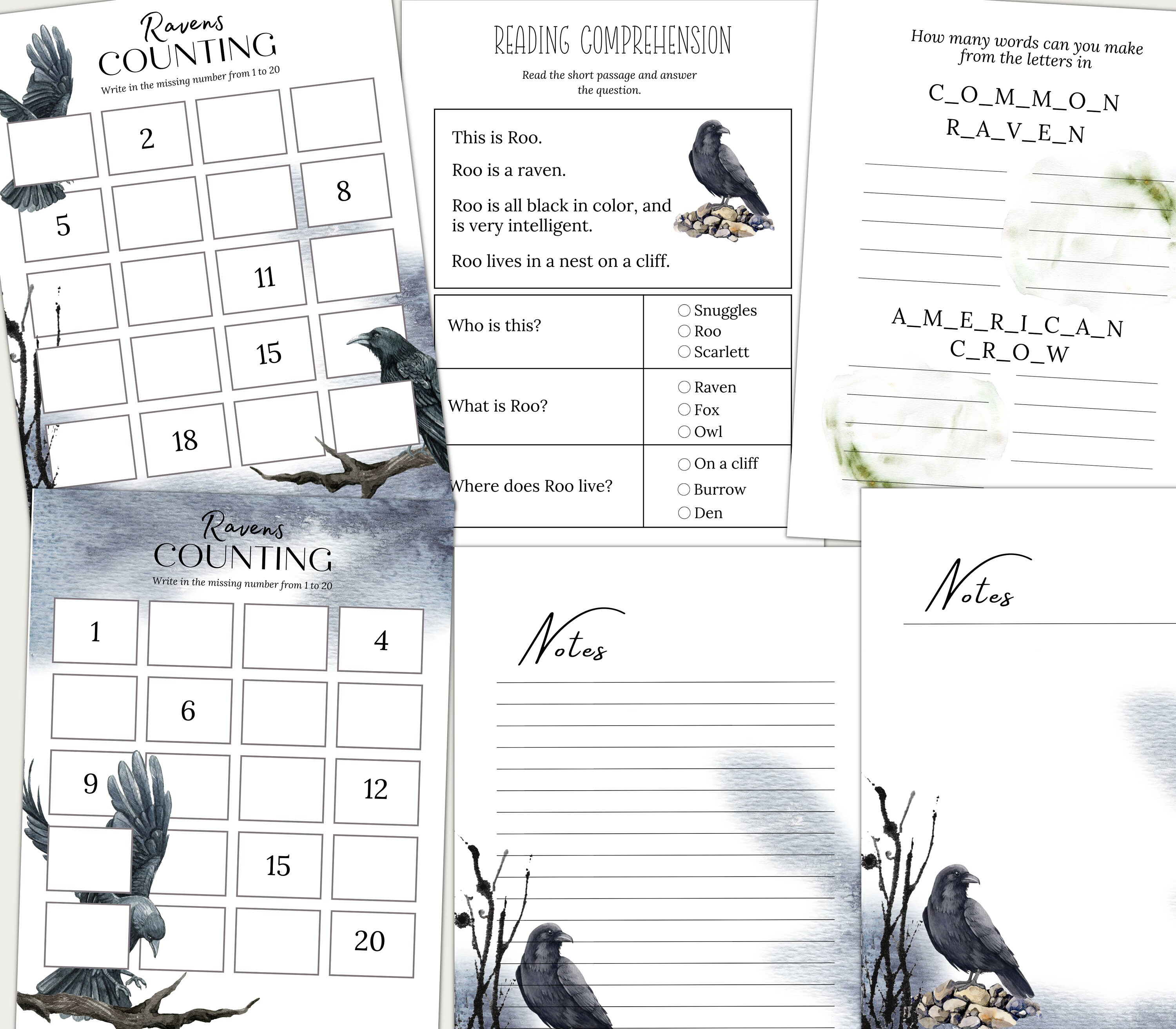 RAVEN Unit Study, Anatomy, Nature Study, Science, Handwriting ...