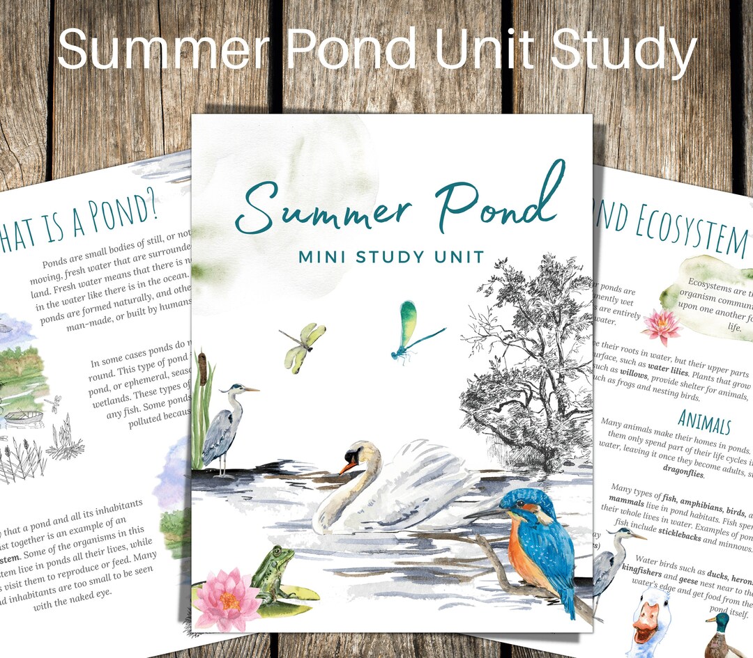 POND Unit Study Animals and Plants Unit Life Cycle Anatomy - Etsy