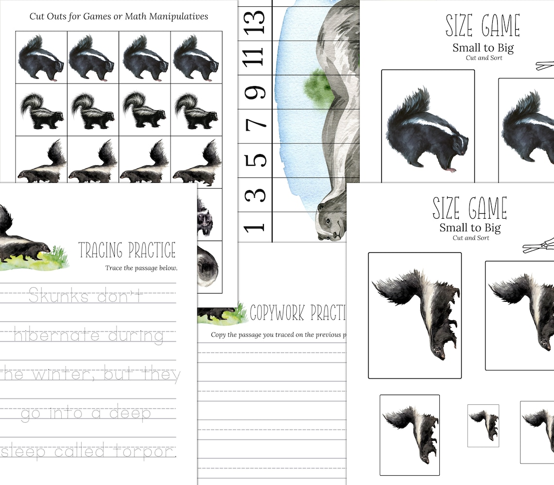 SKUNK Unit Study Life Cycle Anatomy Nature Study Science - Etsy