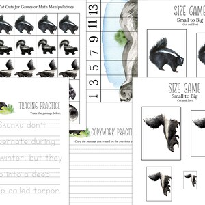 SKUNK Unit Study Life Cycle Anatomy Nature Study Science - Etsy