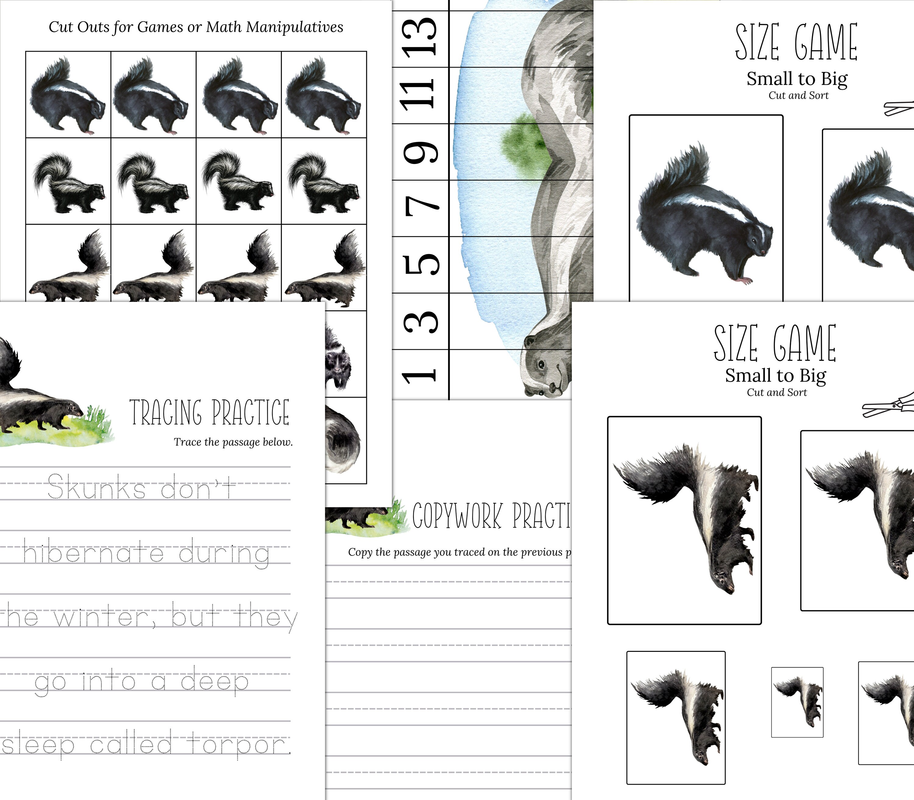 SKUNK Unit Study Life Cycle Anatomy Nature Study Science - Etsy UK