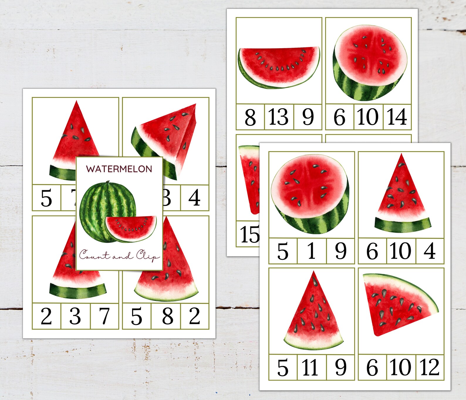 WATERMELON Unit Study, Life Cycle, Anatomy, Nature Study, Science ...
