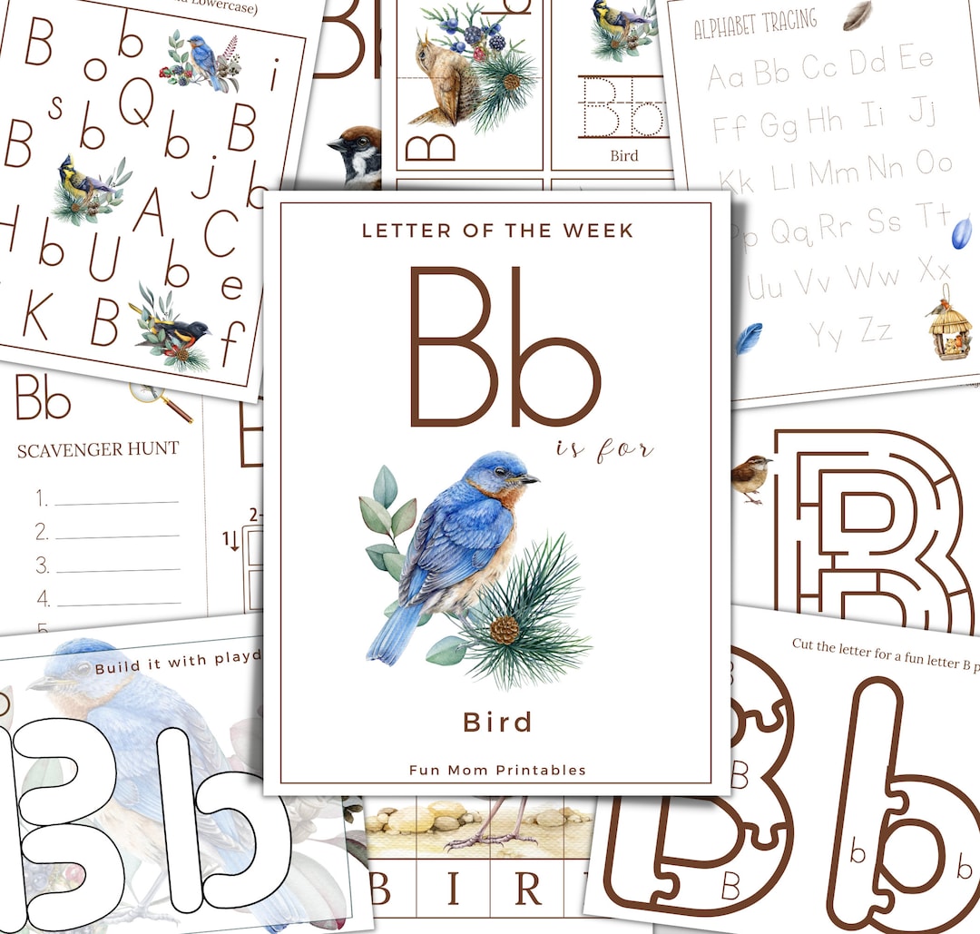 LETTER of the WEEK, B is for Bird, Letter B Activities, Alphabet ...