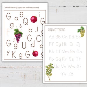 LETTER of the WEEK, G is for Grapes, Letter G Activities, Alphabet ...