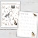 Letter W Wolf Learning Activities: Alphabet Printable (instant Download ...