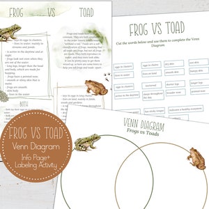 AMPHIBIANS Unit Study, Life Cycle, Anatomy, Nature Study, Science ...