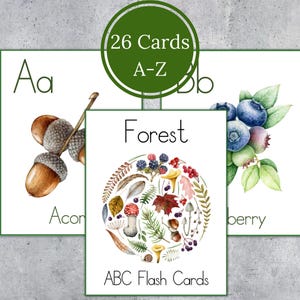 FOREST NATURE Alphabet Flashcards. Watercolor Letter Cards. Kids ...