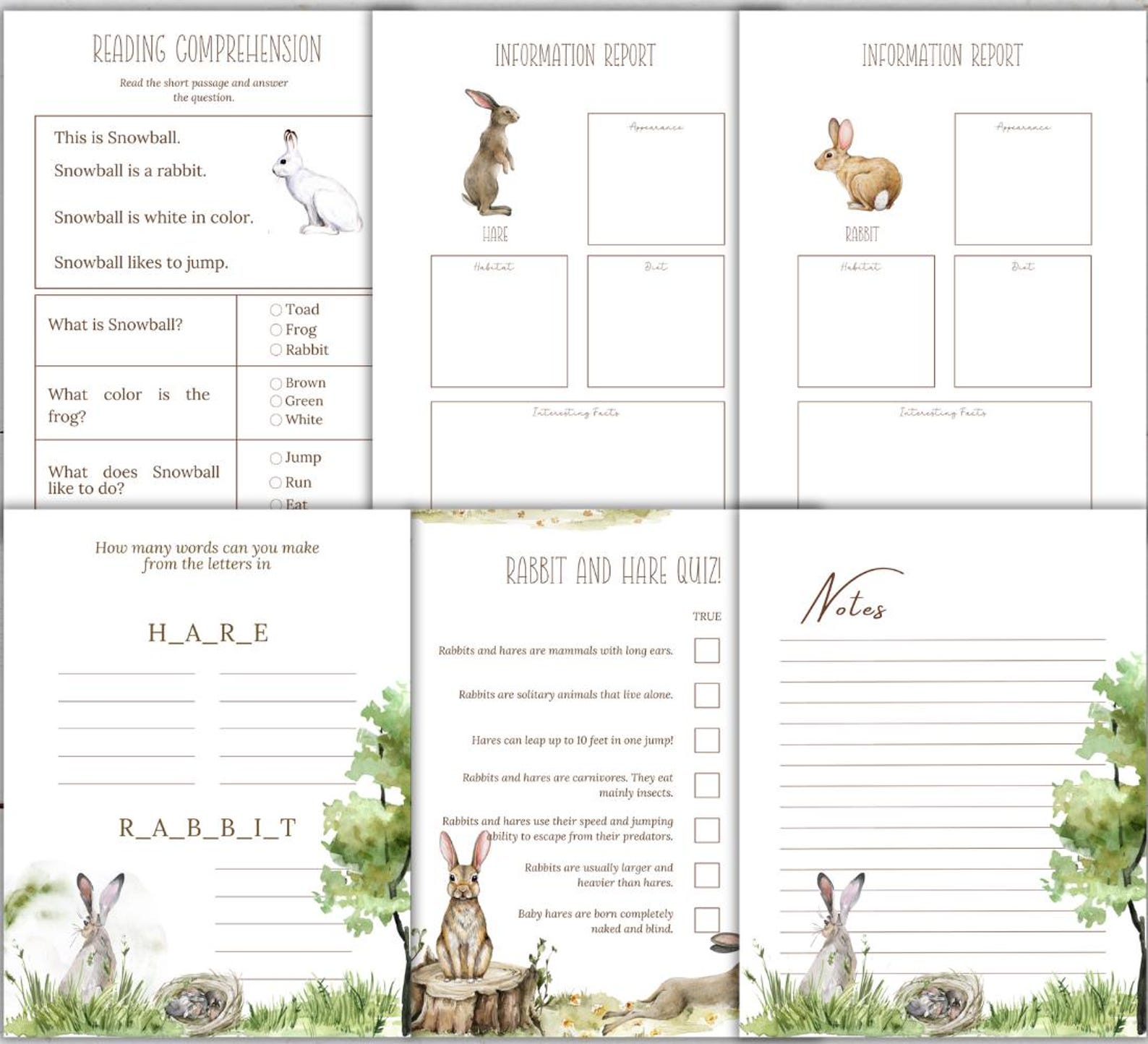 Rabbit and Hare Unit Study: Homeschool Printable (instant Download) - Etsy