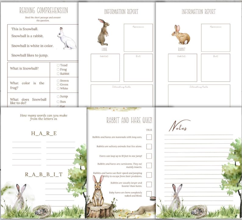 Rabbit and Hare Unit Study: Homeschool Printable (instant Download) - Etsy
