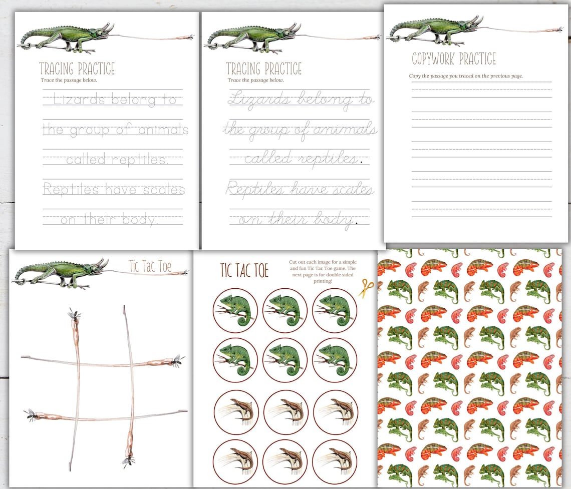 LIZARD Unit Study, Anatomy, Nature Study, Science, Handwriting ...