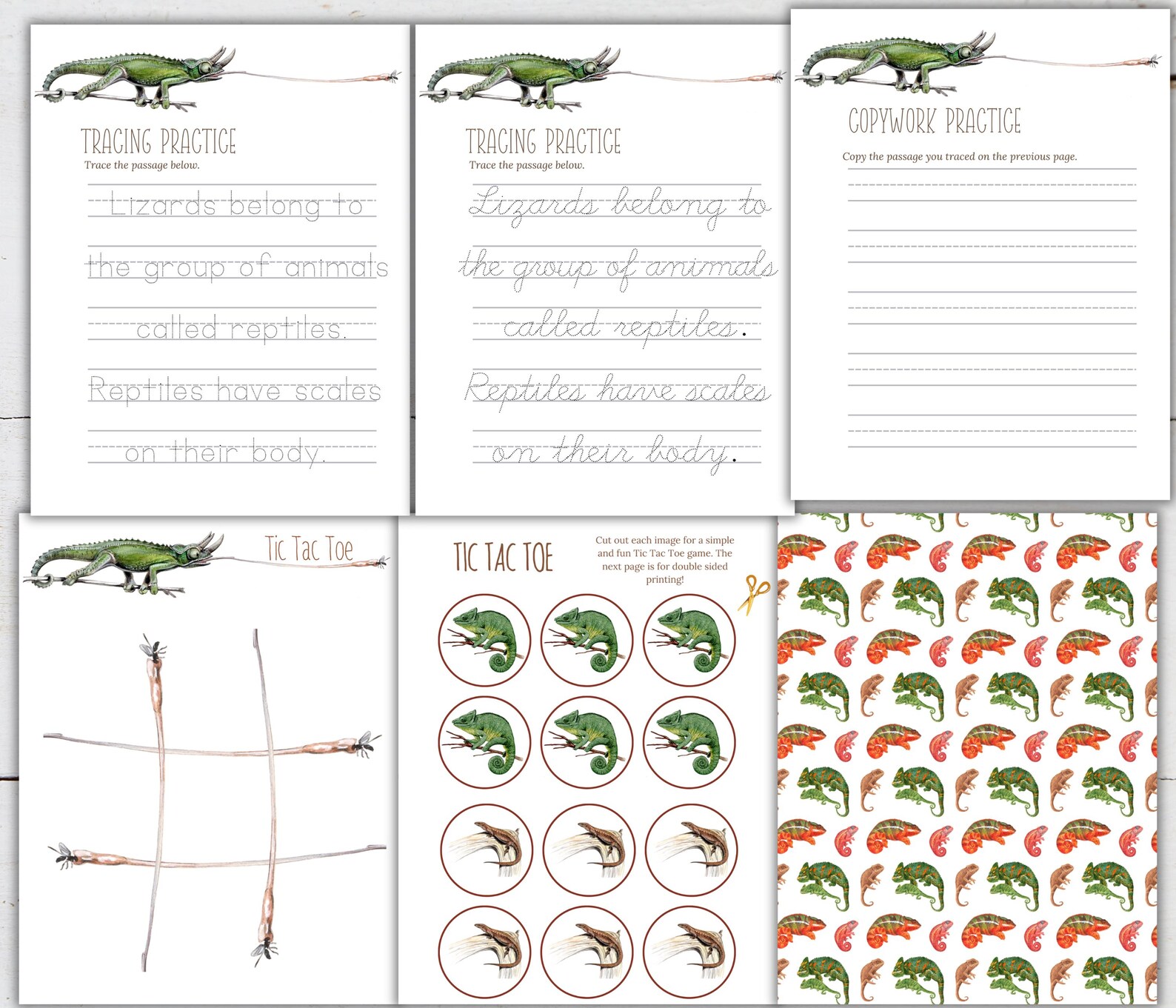 LIZARD Unit Study, Anatomy, Nature Study, Science, Handwriting ...