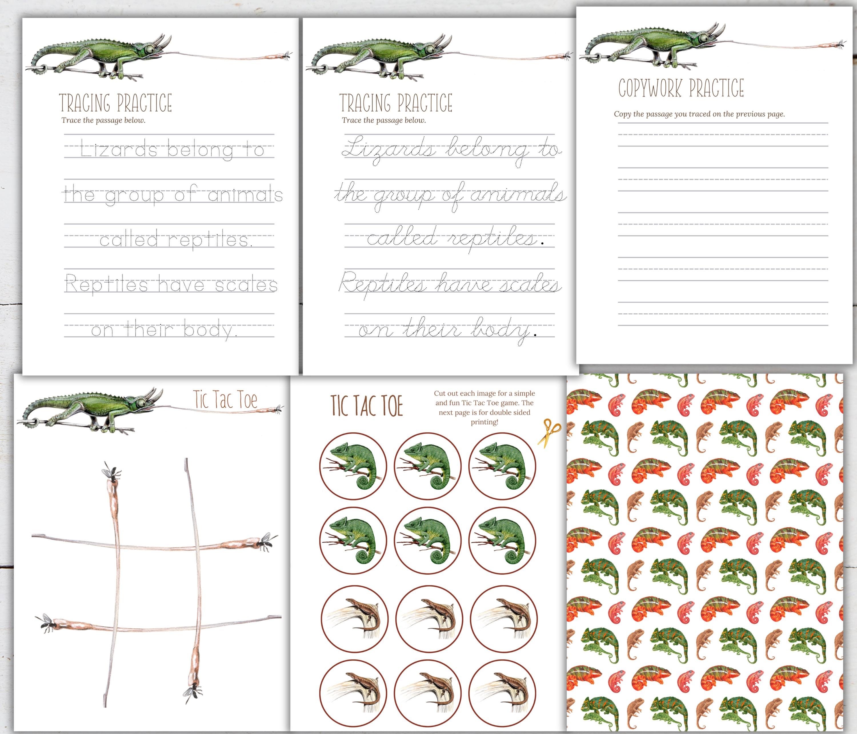 LIZARD Unit Study, Anatomy, Nature Study, Science, Handwriting ...
