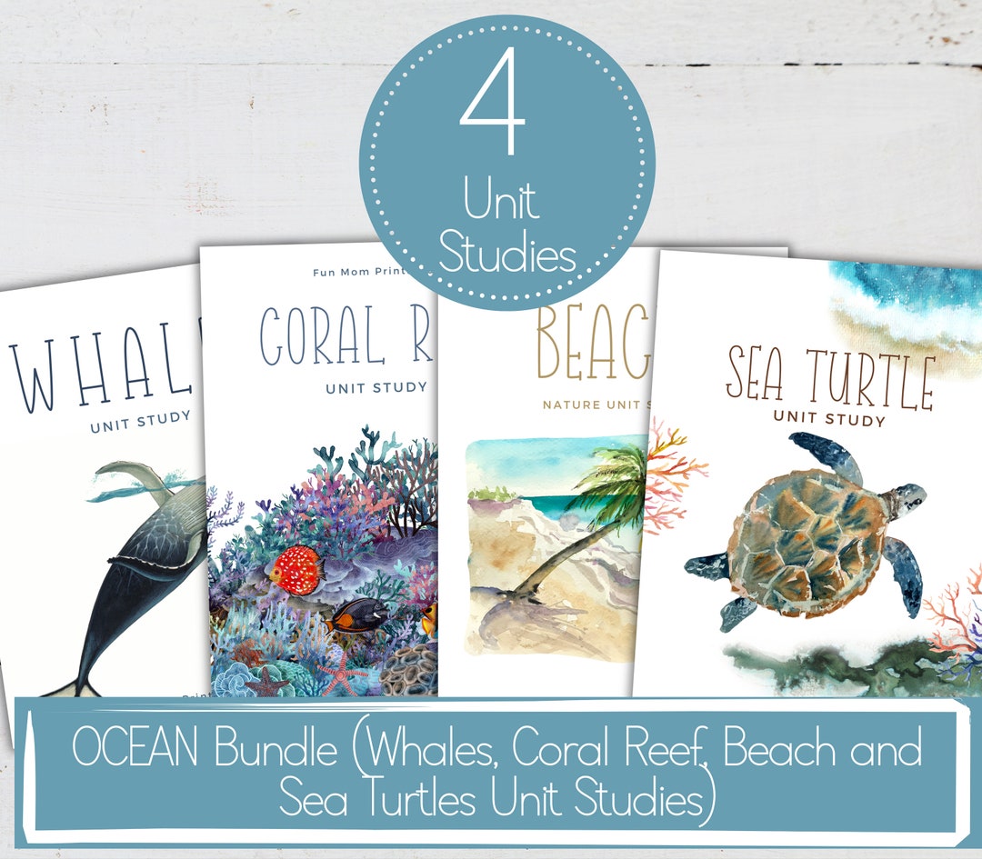OCEAN UNITS BUNDLE, Whales, Coral Reef, Sea Turtles, Beach, Homeschool ...