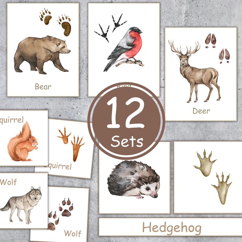 Animal Tracks - Etsy