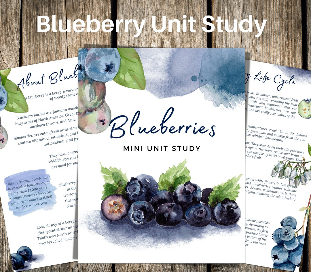 BLUEBERRY Unit Study Life Cycle Anatomy Nature Study - Etsy UK