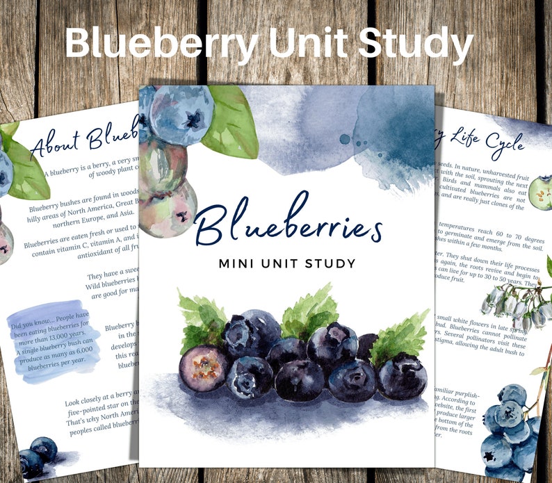 BLUEBERRY Unit Study Life Cycle Anatomy Nature Study - Etsy India