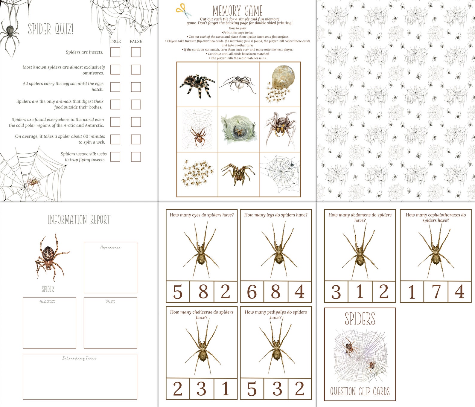 Spider Unit Study: Life Cycle, Anatomy, Homeschool Printable (instant ...