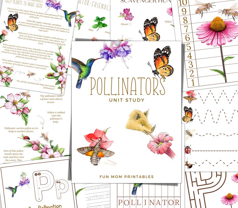 Garden Insects Unit Study Bundle: Pests, Pollinators, Earthworm ...