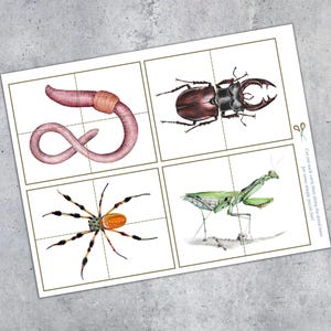MINIBEASTS Matching Cards, Symmetry Puzzle, Toddler Preschool Activity ...