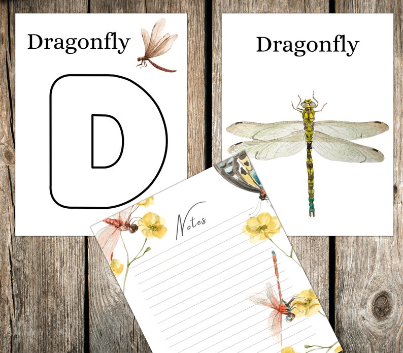 DRAGONFLY Unit Study Life Cycle Anatomy Nature Study | Etsy