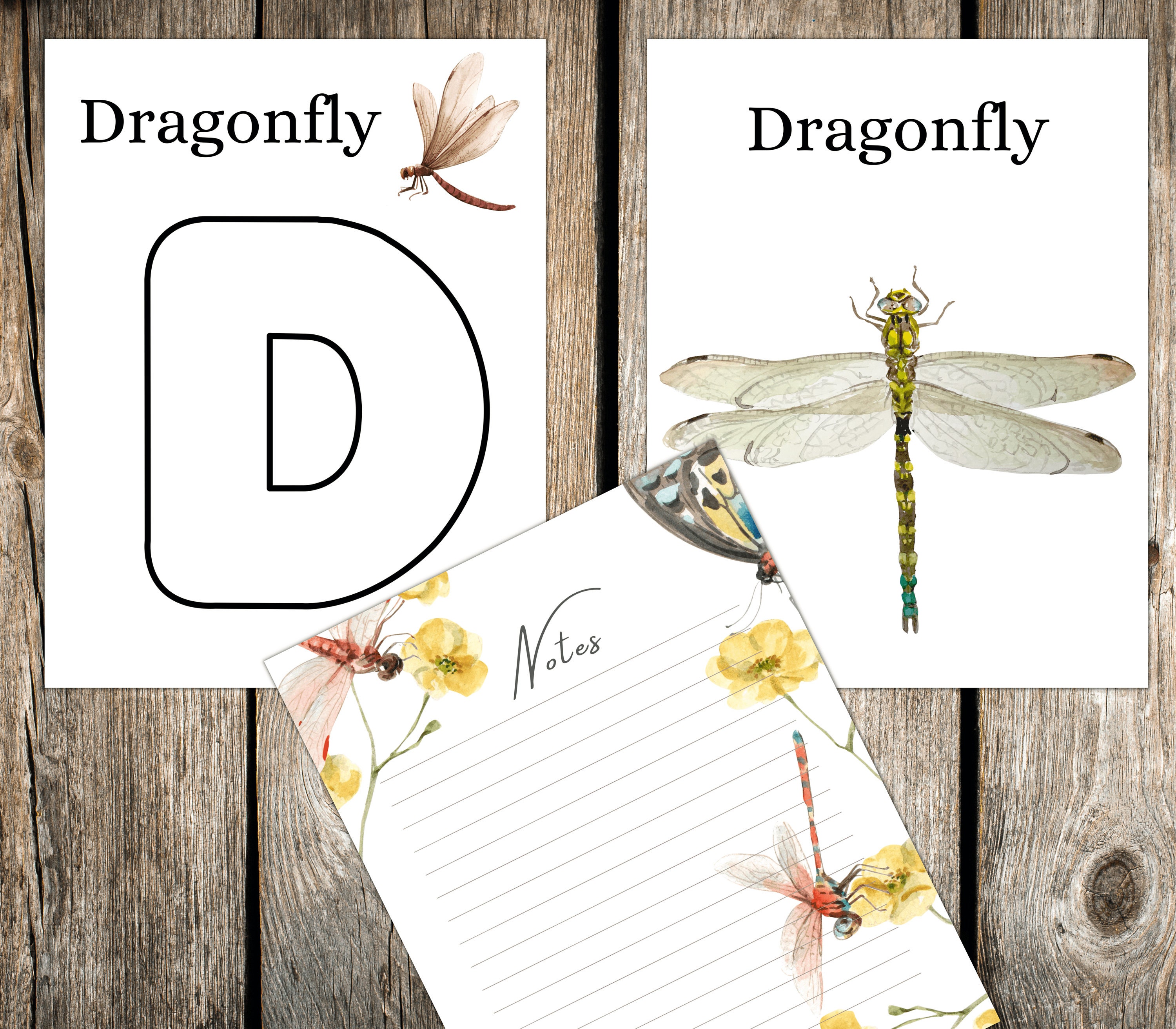 DRAGONFLY Unit Study Life Cycle Anatomy Nature Study - Etsy Australia
