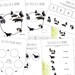 SKUNK Unit Study Life Cycle Anatomy Nature Study Science - Etsy