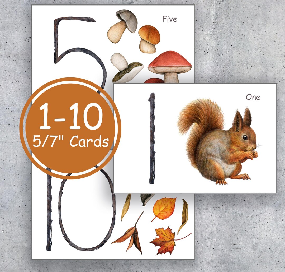 AUTUMN/FALL NATURE Counting Flashcards, 1 to 10 Counting, Toddler ...