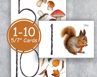 NATURE Counting Flashcards, 1 to 10 Counting, Toddler Preschool ...