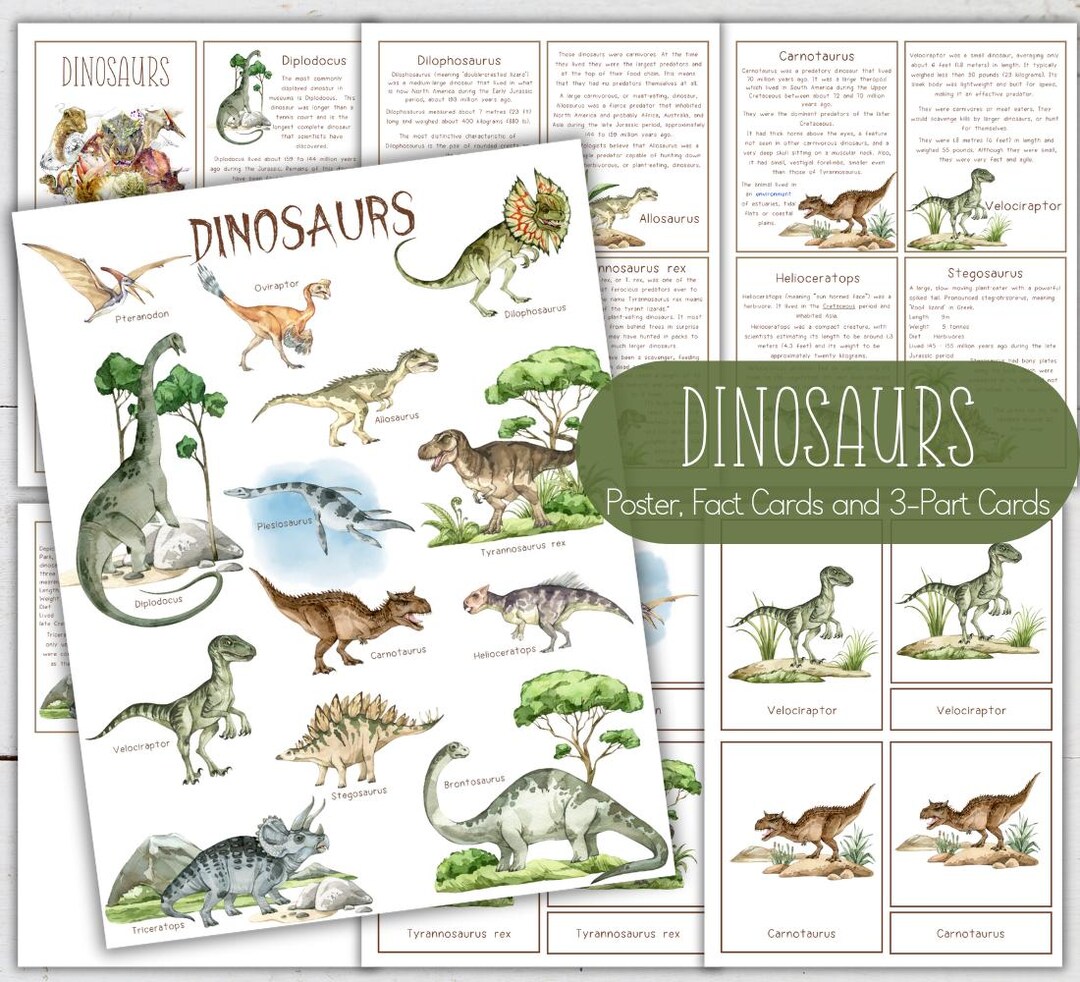 Dinosaur Mini Poster & Fact Cards: Montessori Homeschool (digital ...
