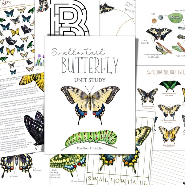 Butterfly Anatomy - Etsy