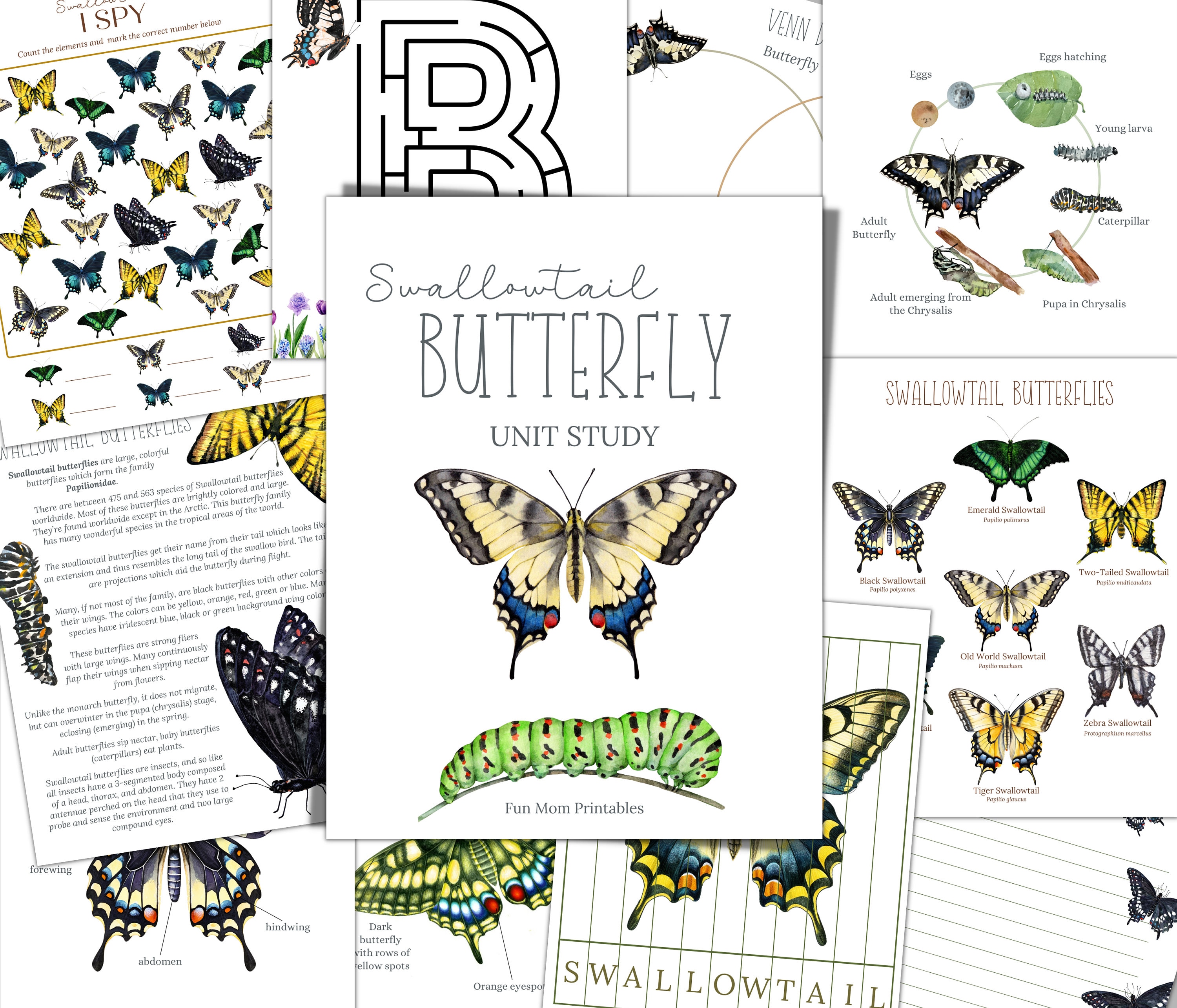 Swallowtail Butterfly Unit Study: Homeschool Nature Printable (instant ...
