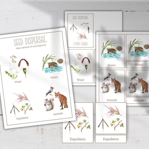 SEED DISPERSAL Unit Study, Anatomy, Nature Study, Science, Handwriting ...