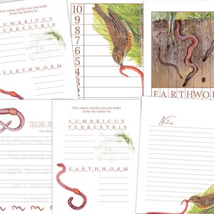 EARTHWORM Study Unit, Life Cycle, Anatomy, Nature Study, Science ...