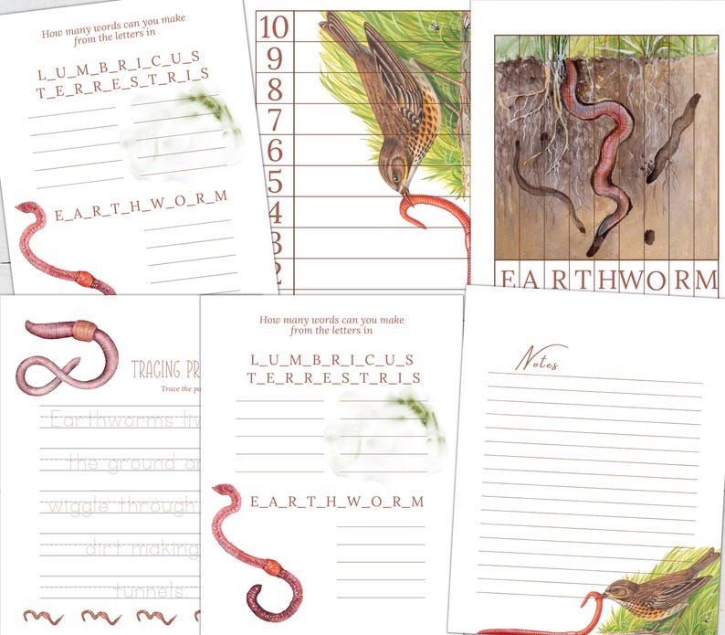 EARTHWORM Study Unit, Life Cycle, Anatomy, Nature Study, Science ...