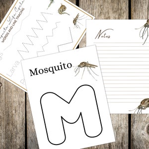 MOSQUITO Unit Study Life Cycle Anatomy Nature Study - Etsy