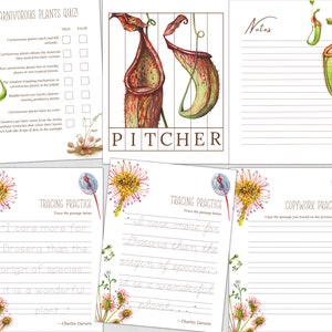 CARNIVOROUS PLANTS Unit Study, Anatomy, Nature Study, Science ...