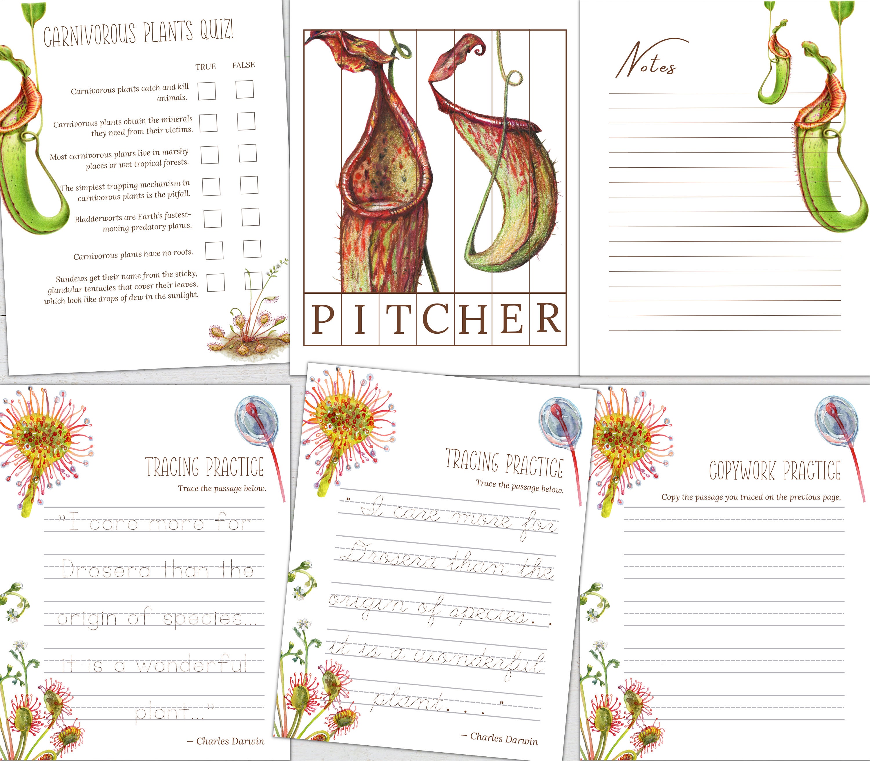 CARNIVOROUS PLANTS Unit Study, Anatomy, Nature Study, Science ...