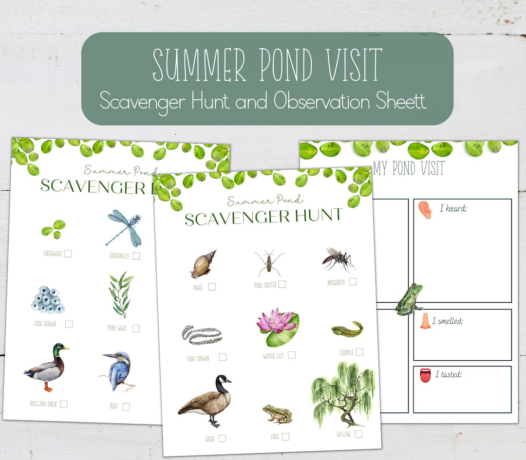 Pond Scavenger Hunt and Pond Walk Observation Activity Pages, Outdoor ...
