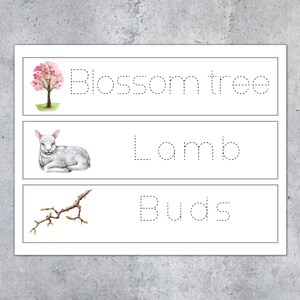 Spring Preschool Printable Word Tracing Strips. Kindergarten ...