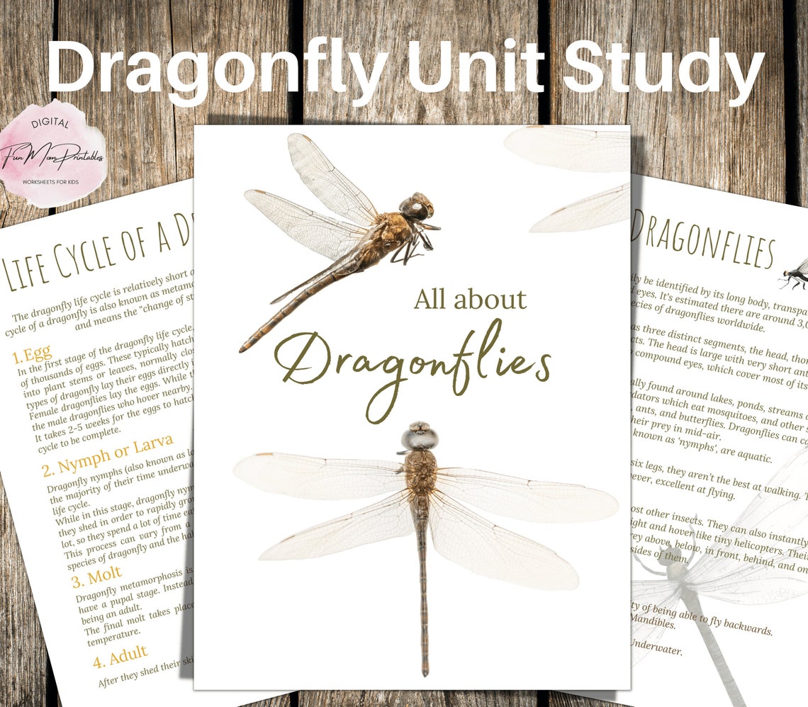 DRAGONFLY Unit Study Life Cycle Anatomy Nature Study - Etsy